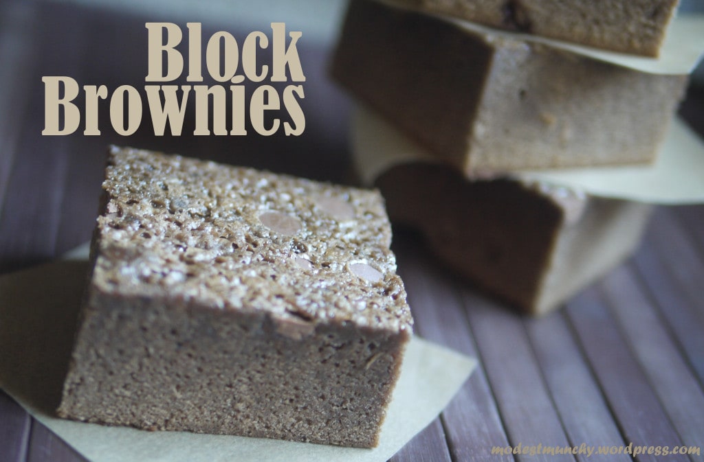 Brownies for Brother Bear - Modest Munchies