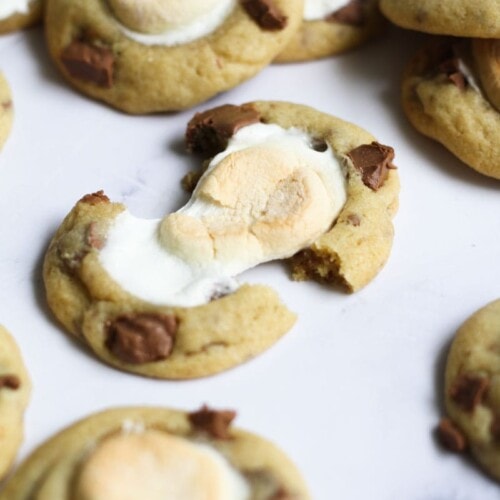 Chocolate Chip Marshmallow Cookies - Modest Munchies