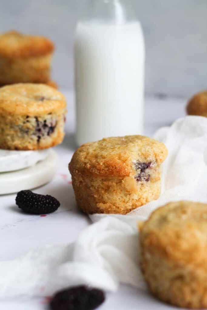 Mulberry Muffins - Modest Munchies